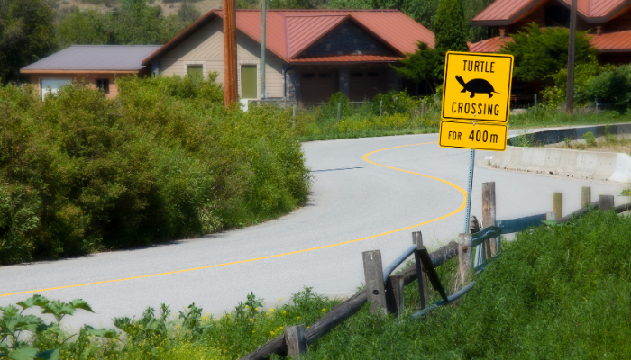 Slow Paying Customers: How to Make Your Clients Pay on Time